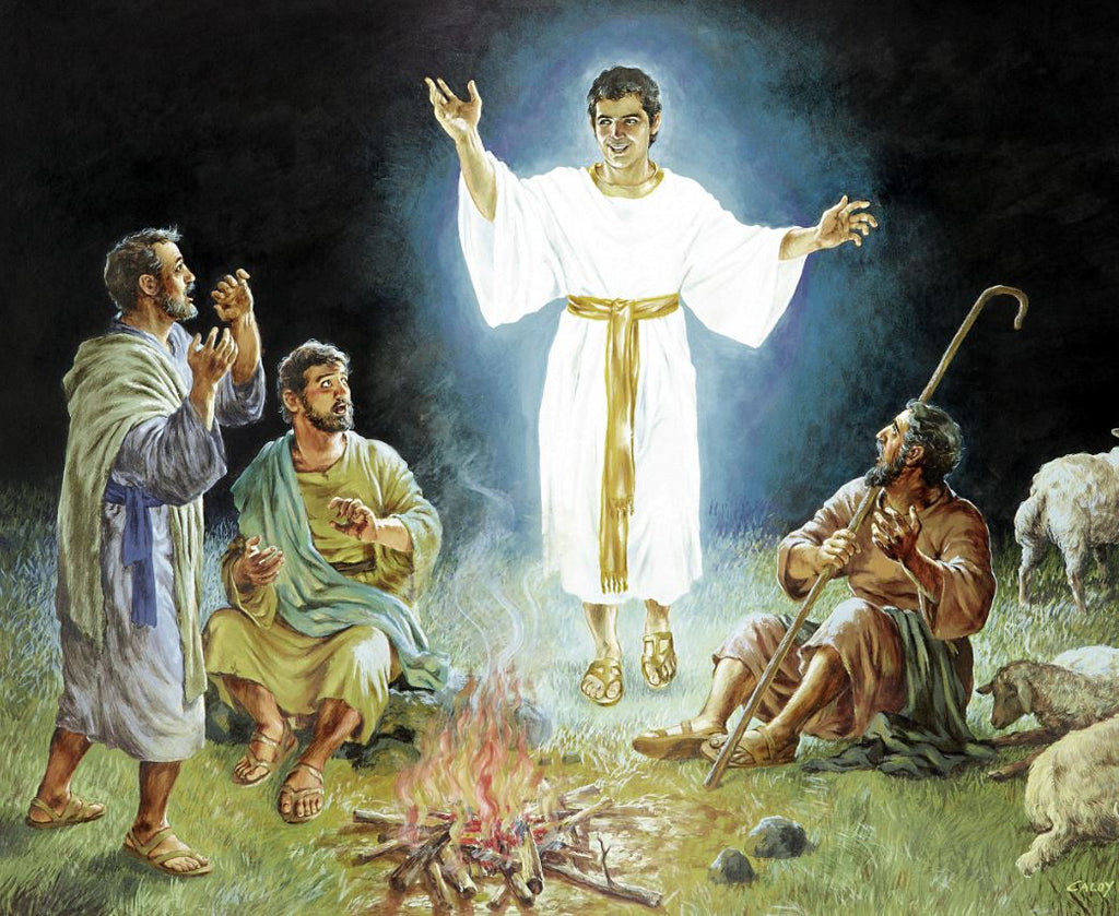 Spanish - The Story of God Pocket-size Chronological Bible Picture Boo ...