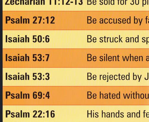 Firm Foundations: Creation to Christ Visual Aids and Supplemental Mate ...